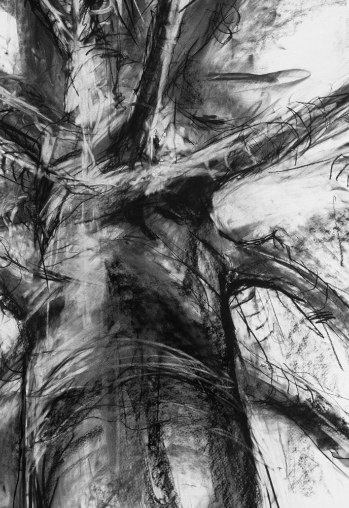 late 1990s – johnros.com